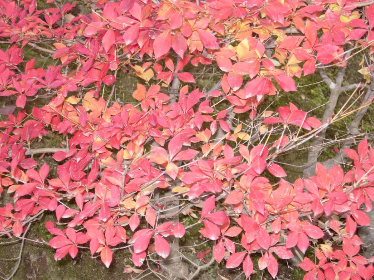 EDITING | timothy j-p ducey